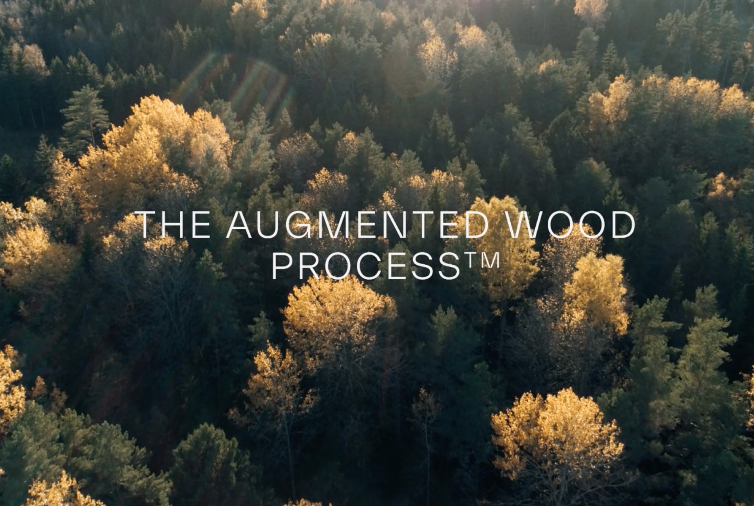 Woodoo Augmented Augmented Wood