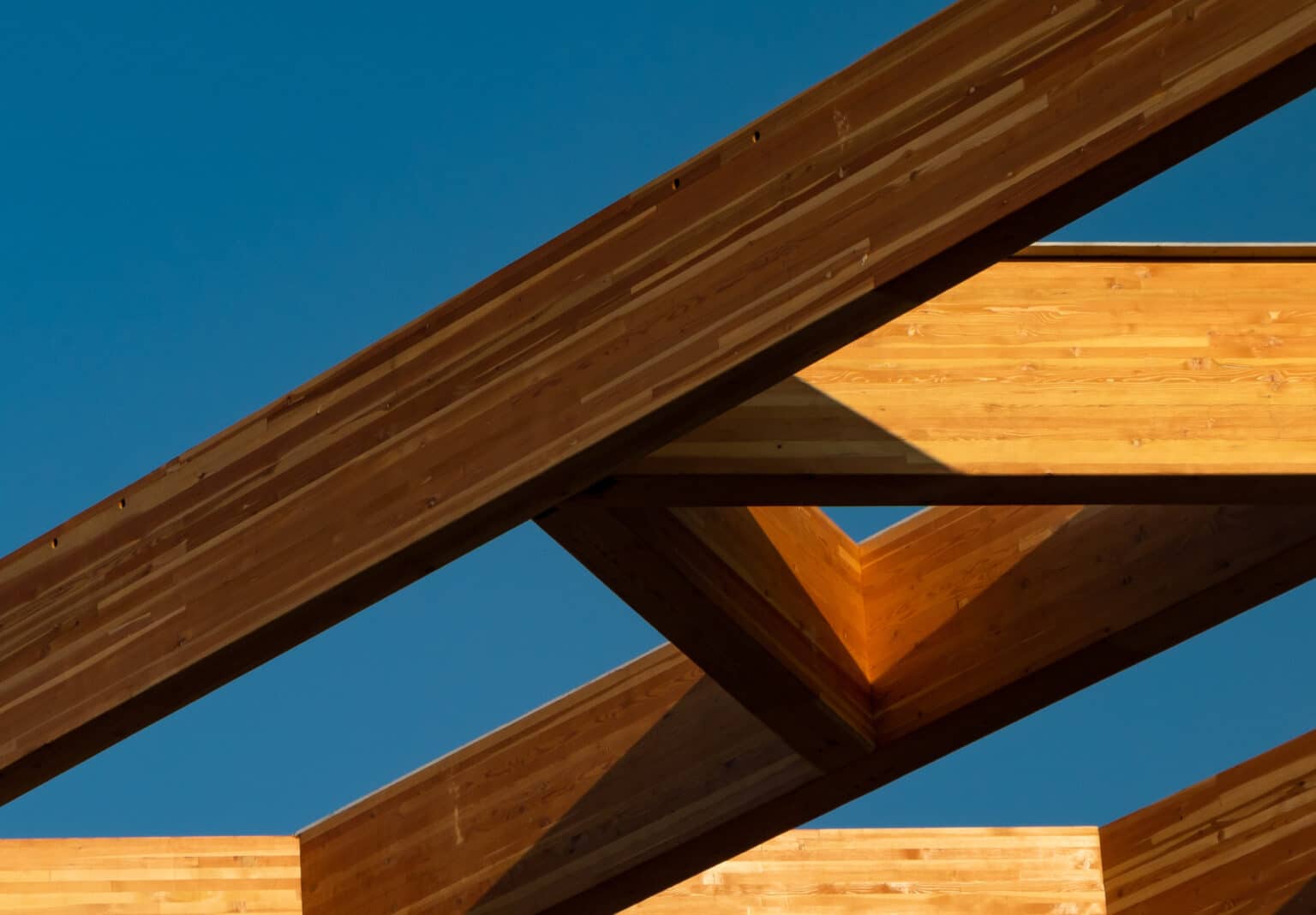 Vision - Woodoo Augmented