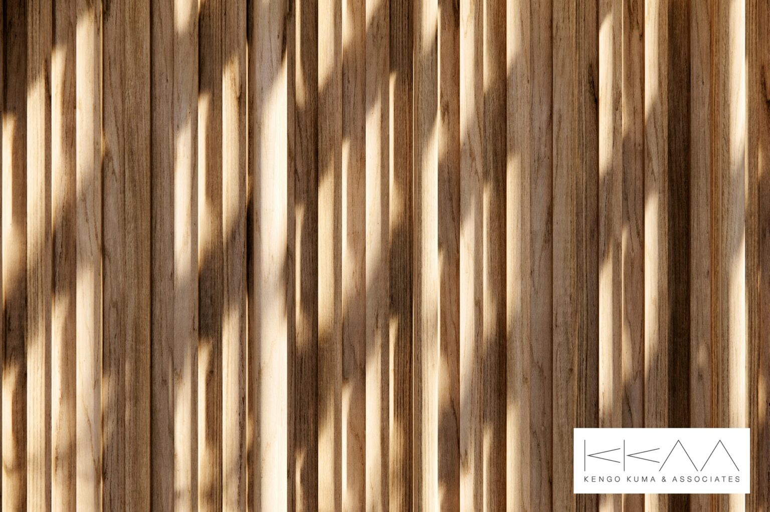 Woodoo Augmented Augmented Wood